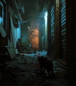 Stray PS5 – DixGamer.com